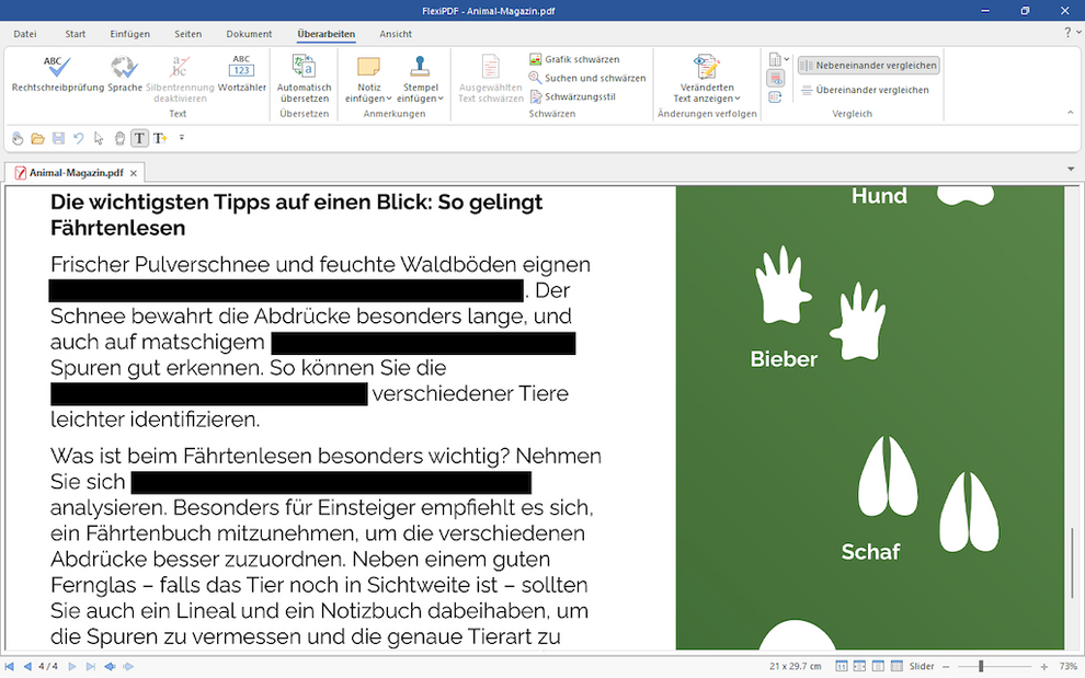 SoftMaker Flexi PDF Professional 2025 – Markt+Technik Verlag GmbH