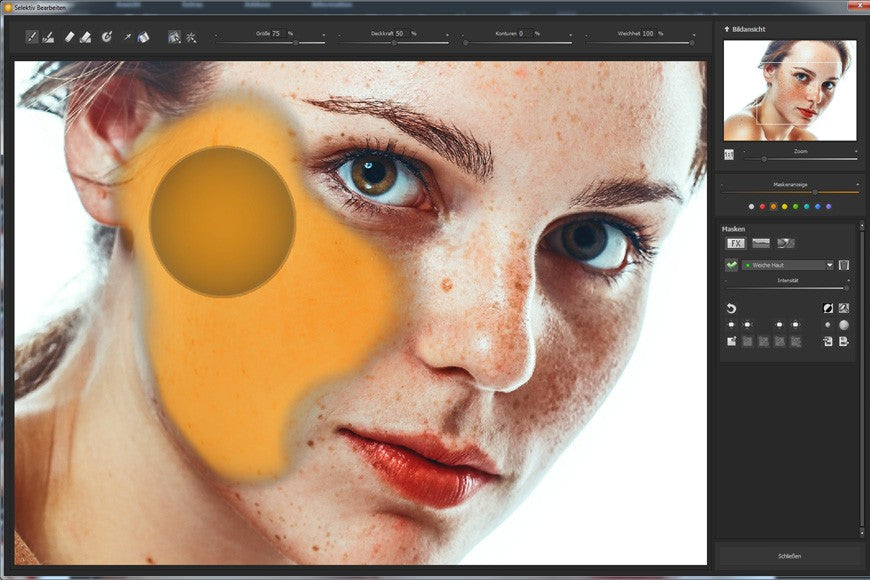 Franzis COLOR projects 6 professional Paket – Markt+Technik Verlag GmbH